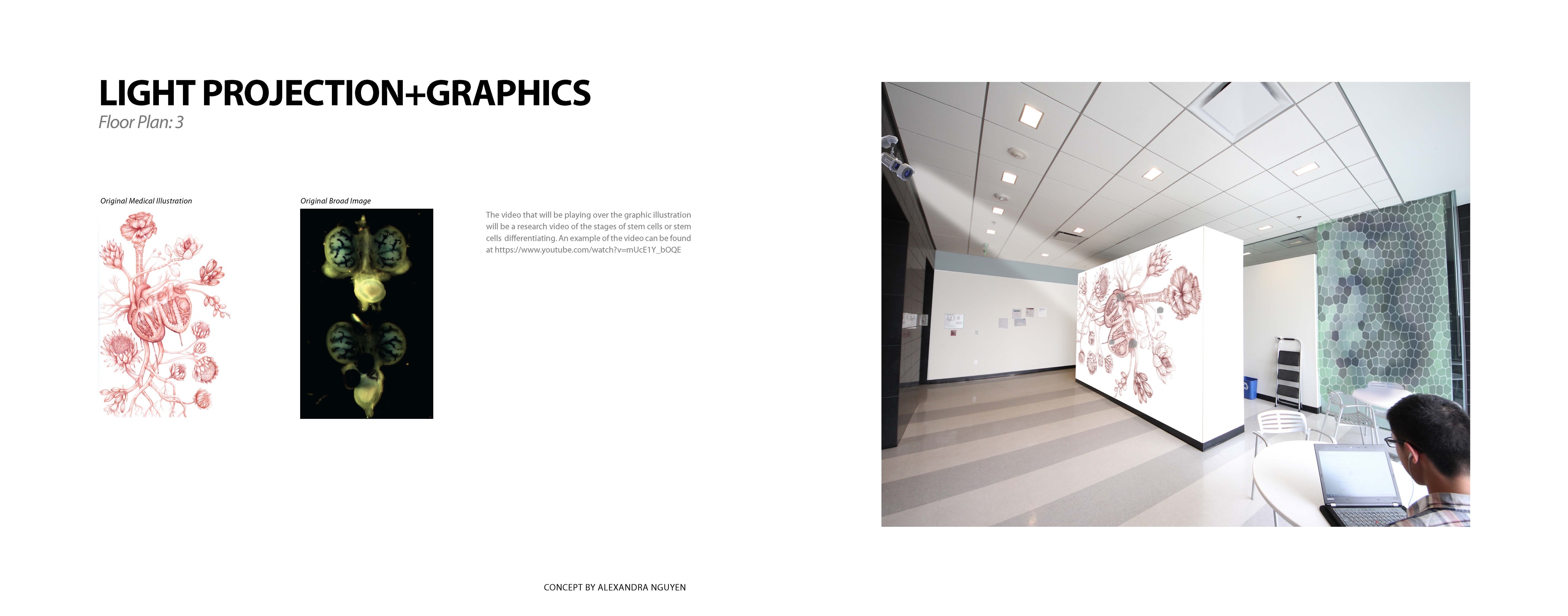 Light Projection Graphics - Alexandra Nguyen