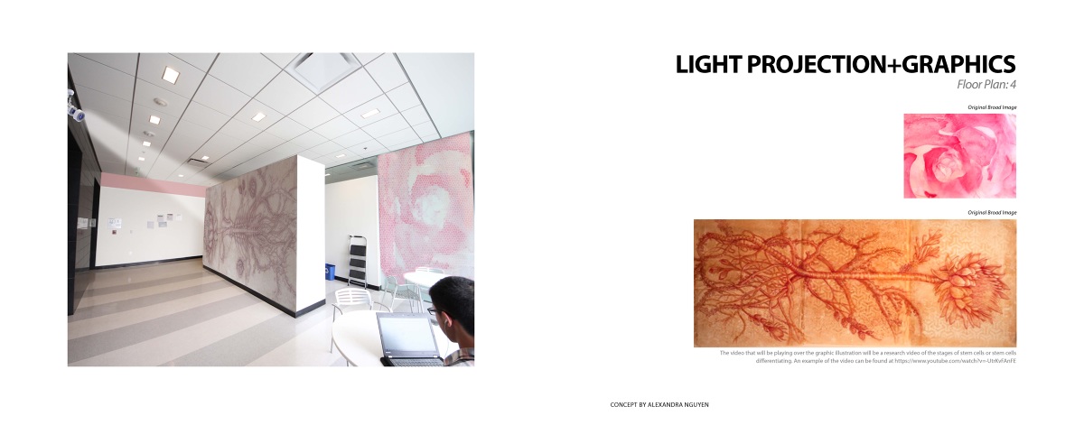 Light Projection Graphics - Alexandra Nguyen