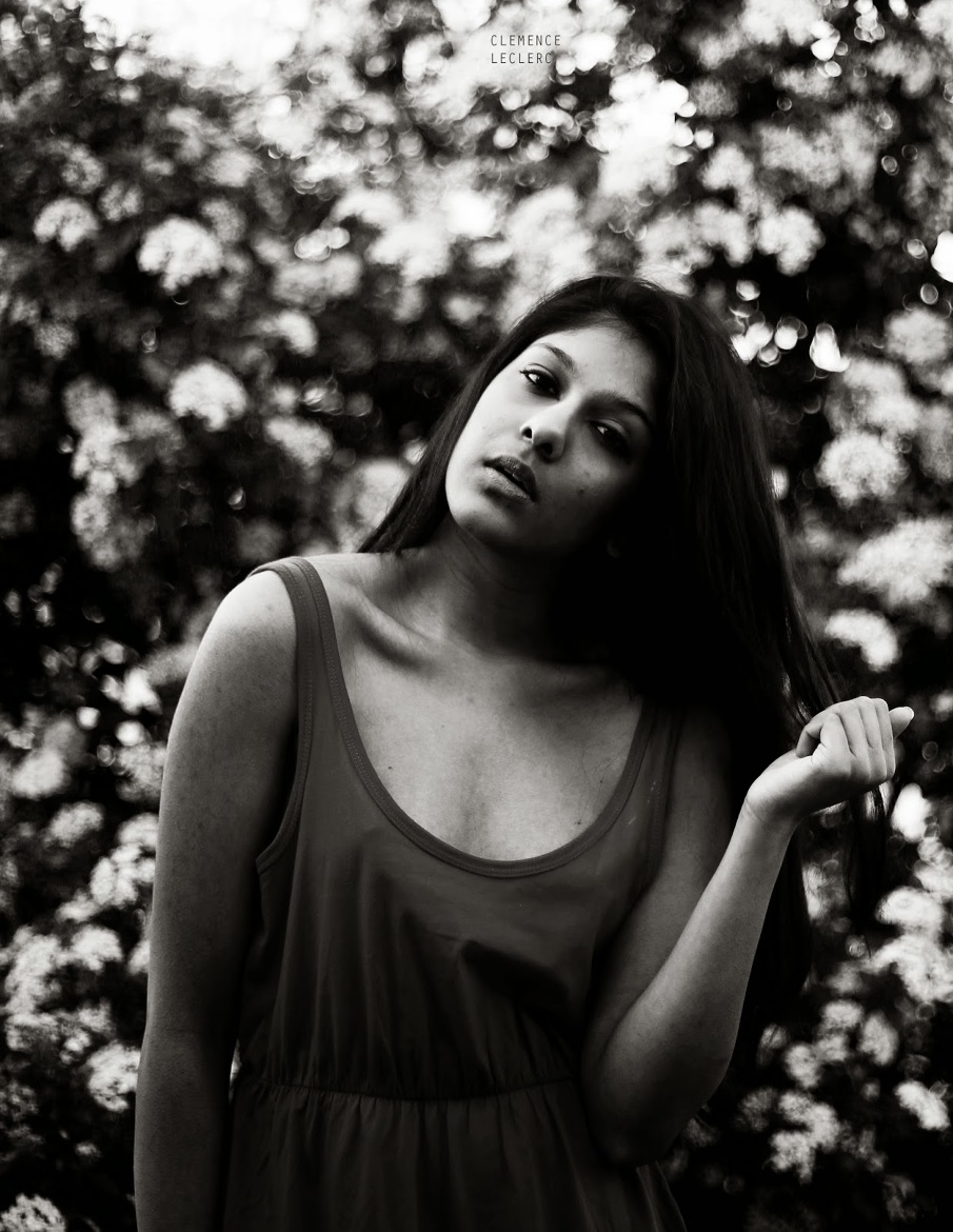 Provence - clemenceleclerc