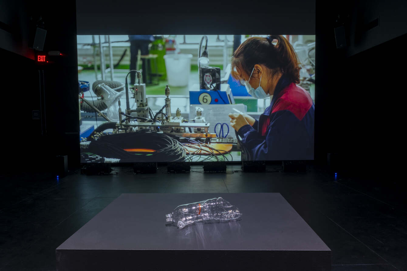 The Tally - David Kelley