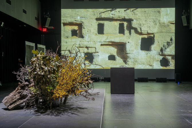 The Tally - David Kelley