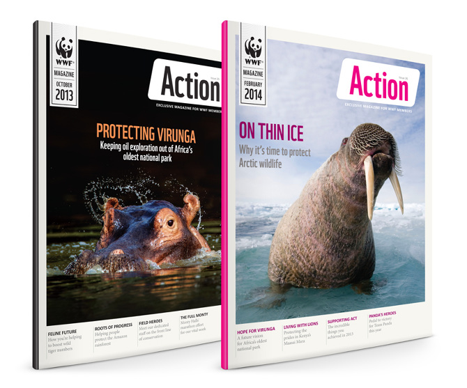 WWF: Action - Becky Alford designs