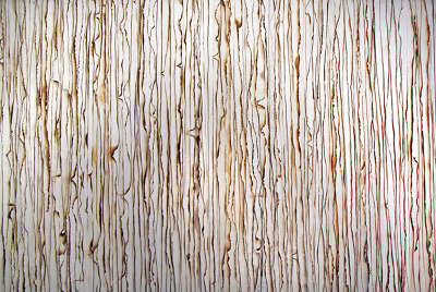 The Mending Project - BEILI LIU 刘北立