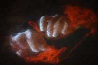 The Mending Project - BEILI LIU 刘北立