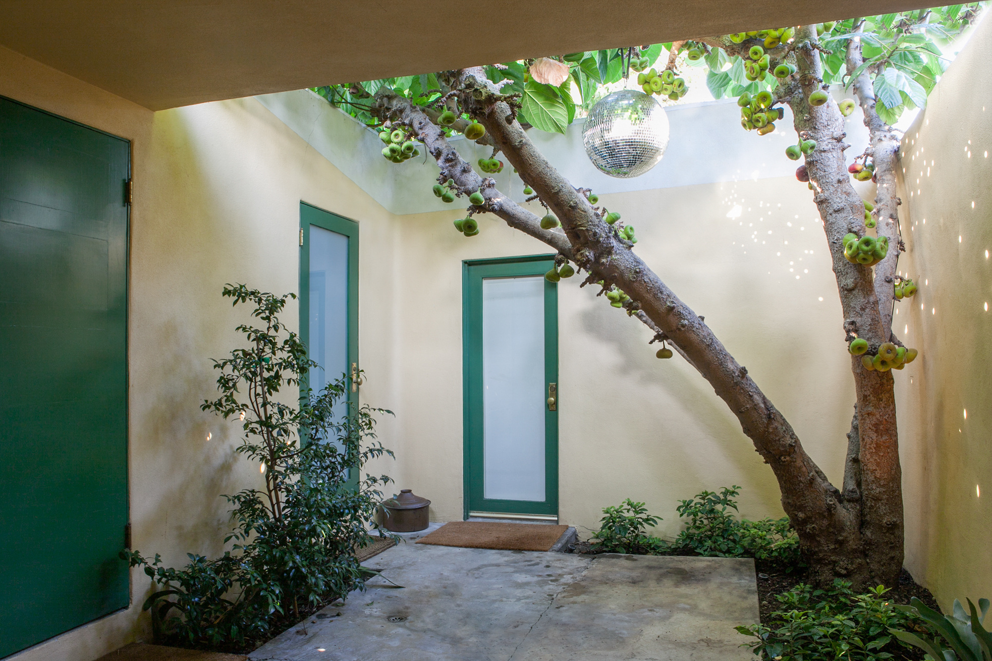 MORGAN HOUSE, CA - Yorgos Efthymiadis