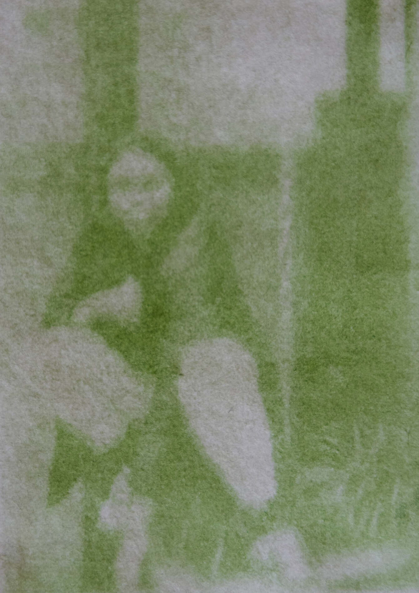 Planting for the Planet - Gwen Riley Jones