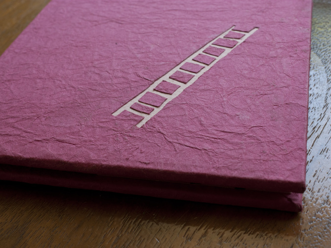 Snakes and Ladders Diary - Janet George