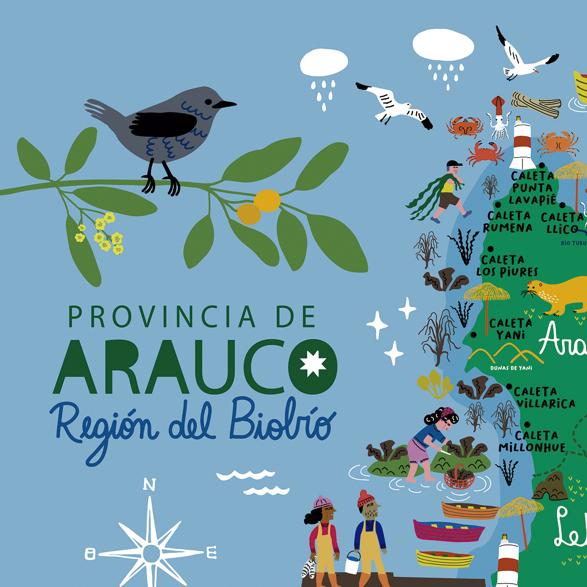 Mapa Provincia de Arauco - Pati Aguilera