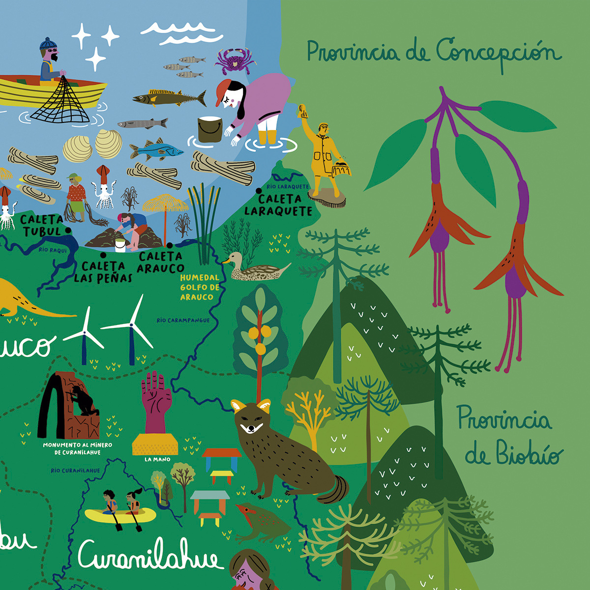 Mapa Provincia de Arauco - Pati Aguilera