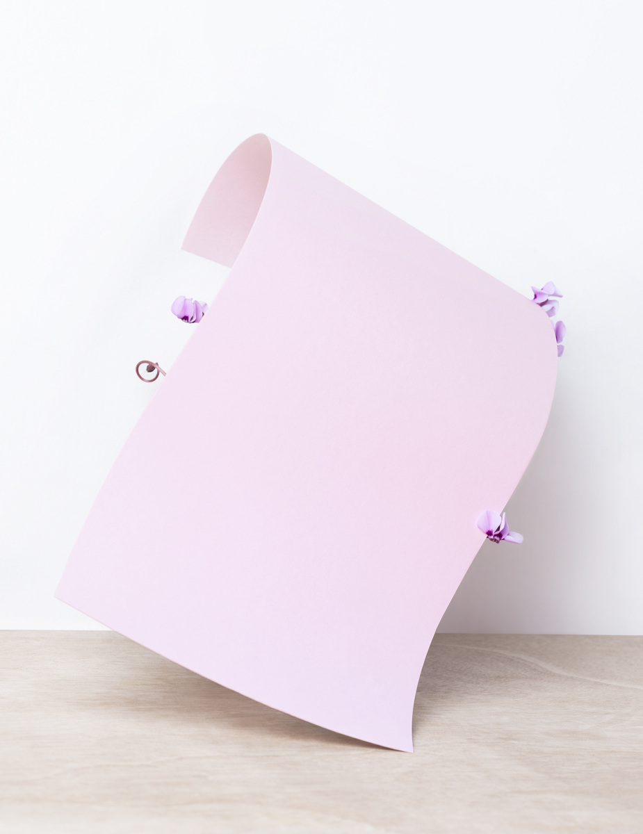plant_paper.jpeg - Martina Lang | photography & art direction