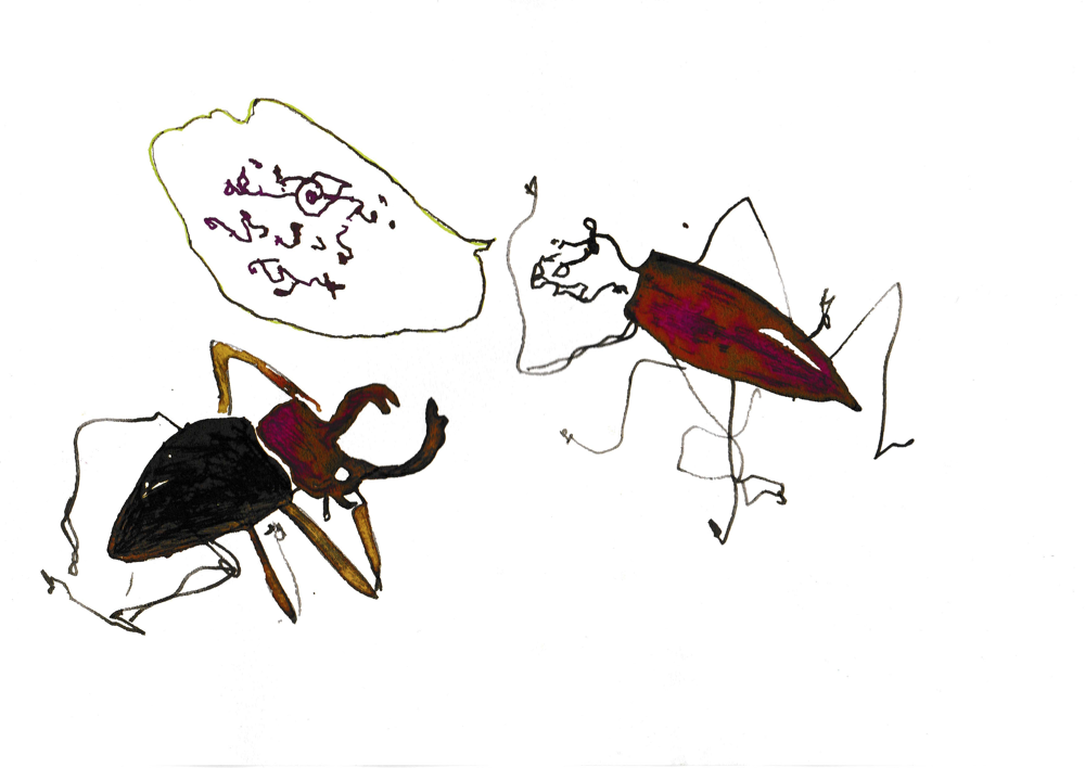 Insect Process Drawings - Arabella Murray-Nag