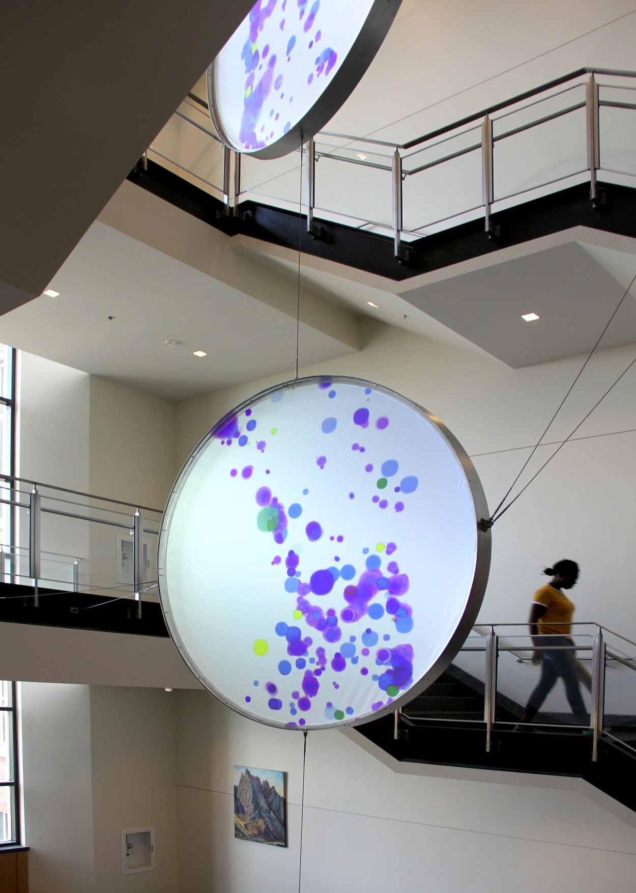 SWIM GLIDE - AREA C projects