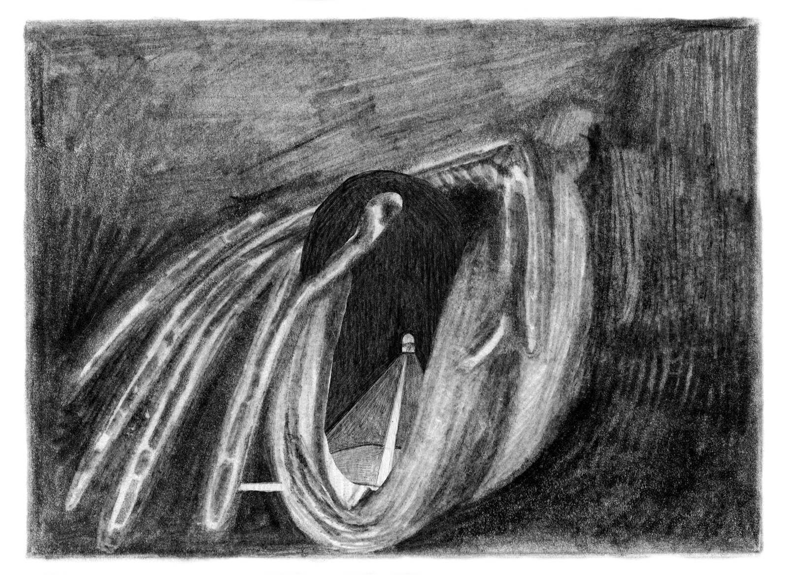 Cartoon Physics - Collette Rayner