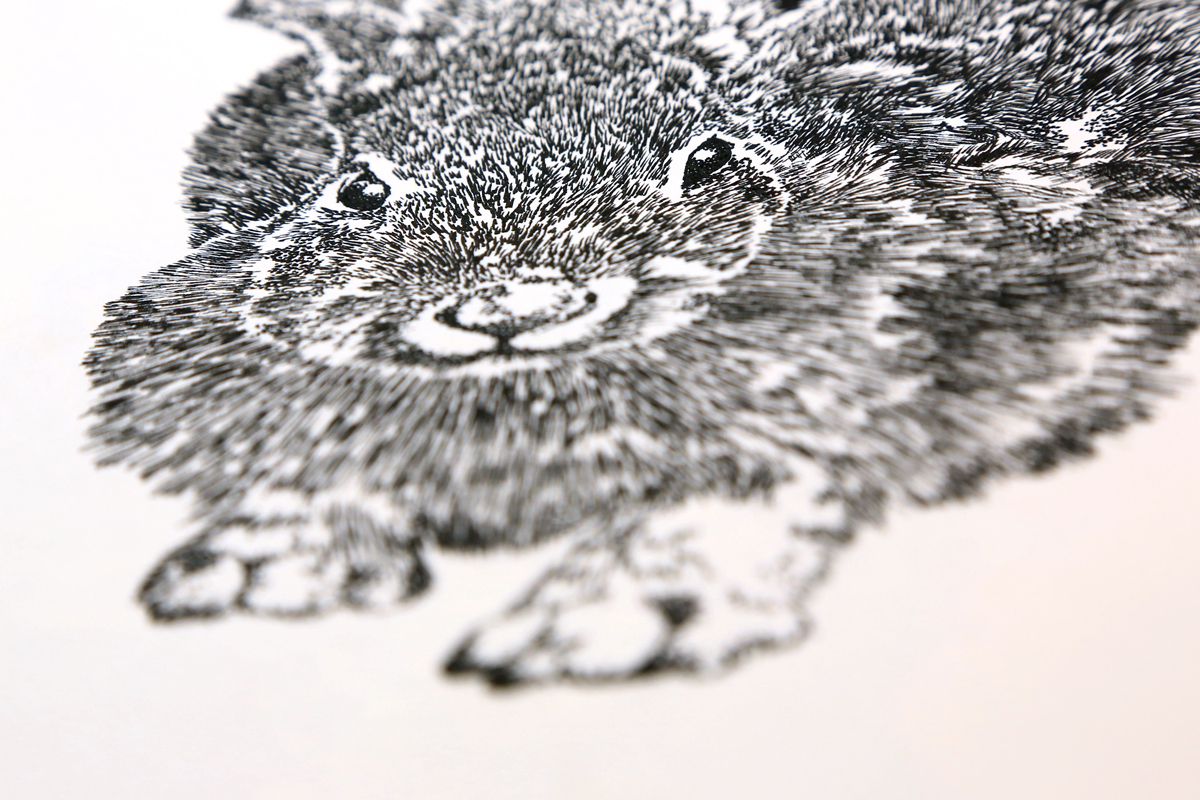 Hoarding - Drawings - Ellie Marie