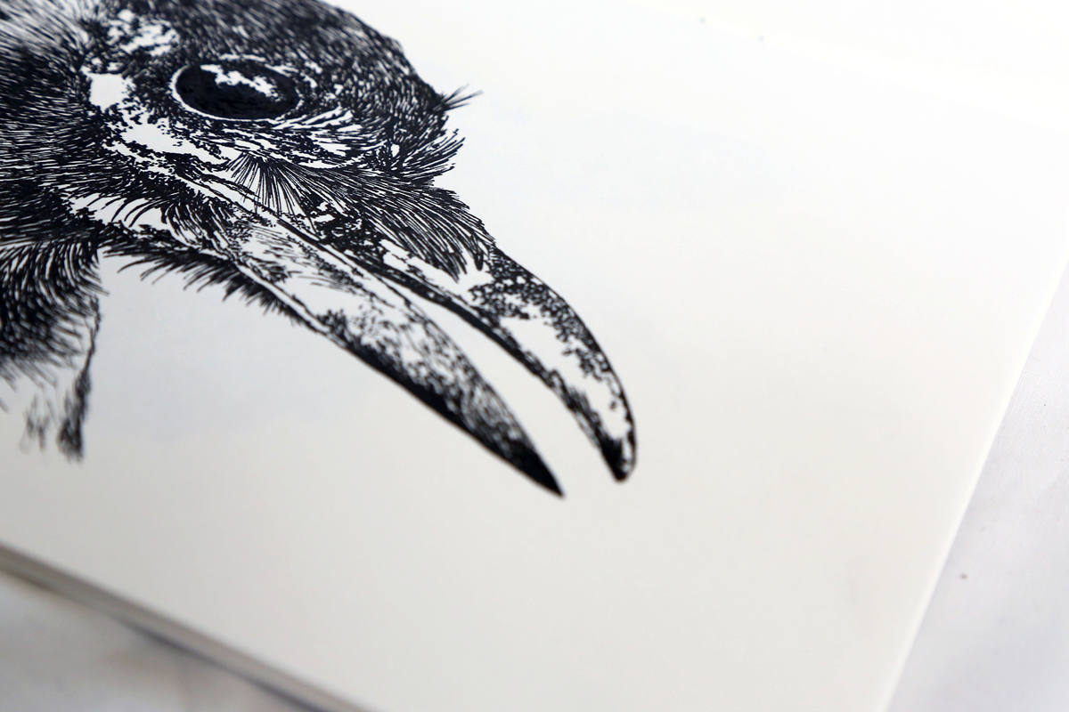 Hoarding - Drawings - Ellie Marie