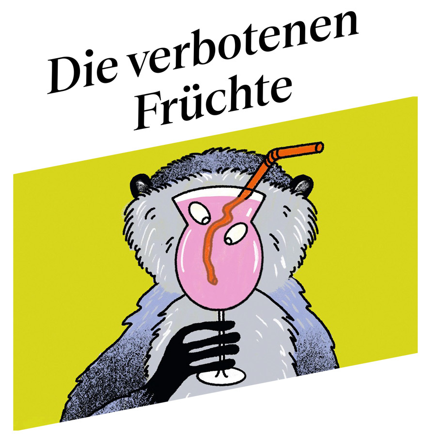 Beobachter Magazine Editorial II - Rina Jost Illustration