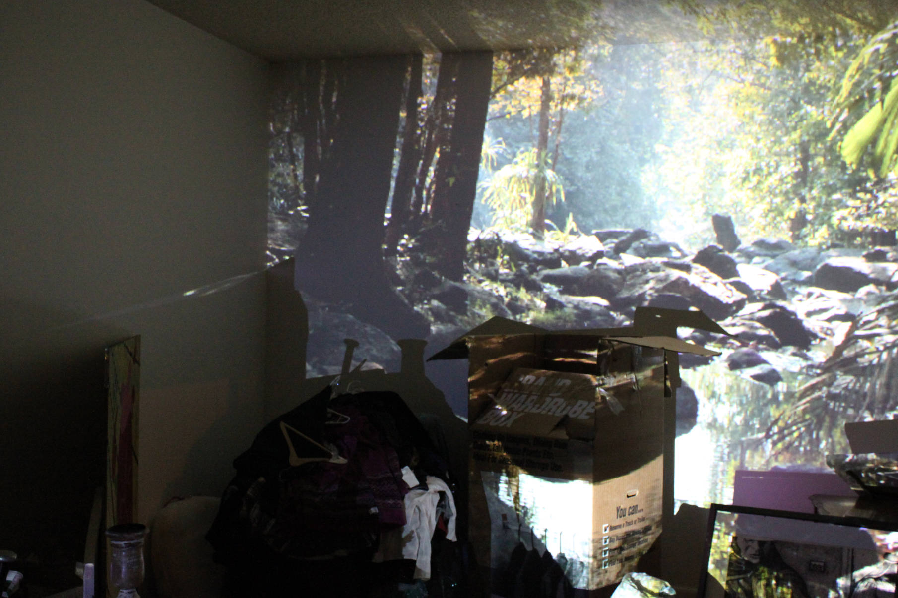 Home Projection Project - Nina Diaz