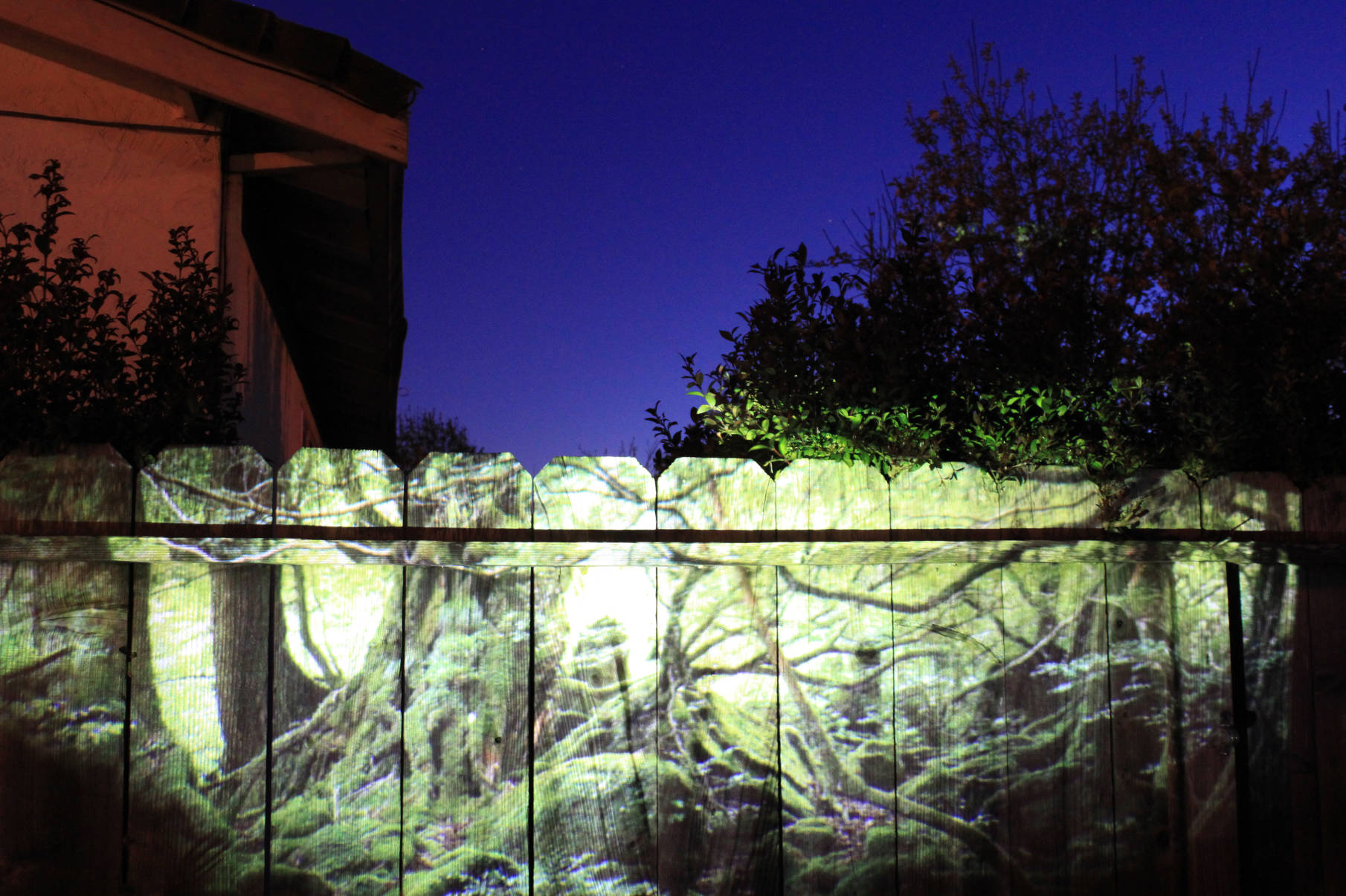 Home Projection Project - Nina Diaz