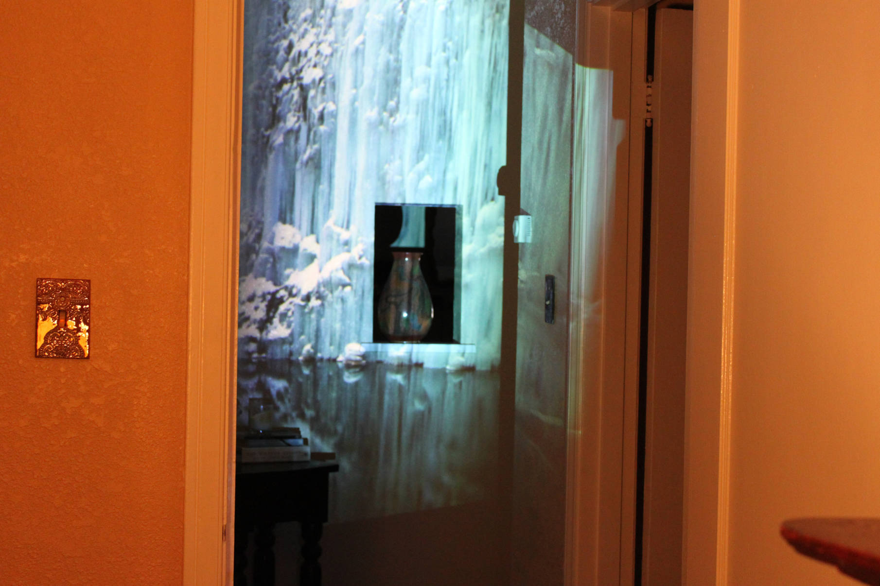 Home Projection Project - Nina Diaz