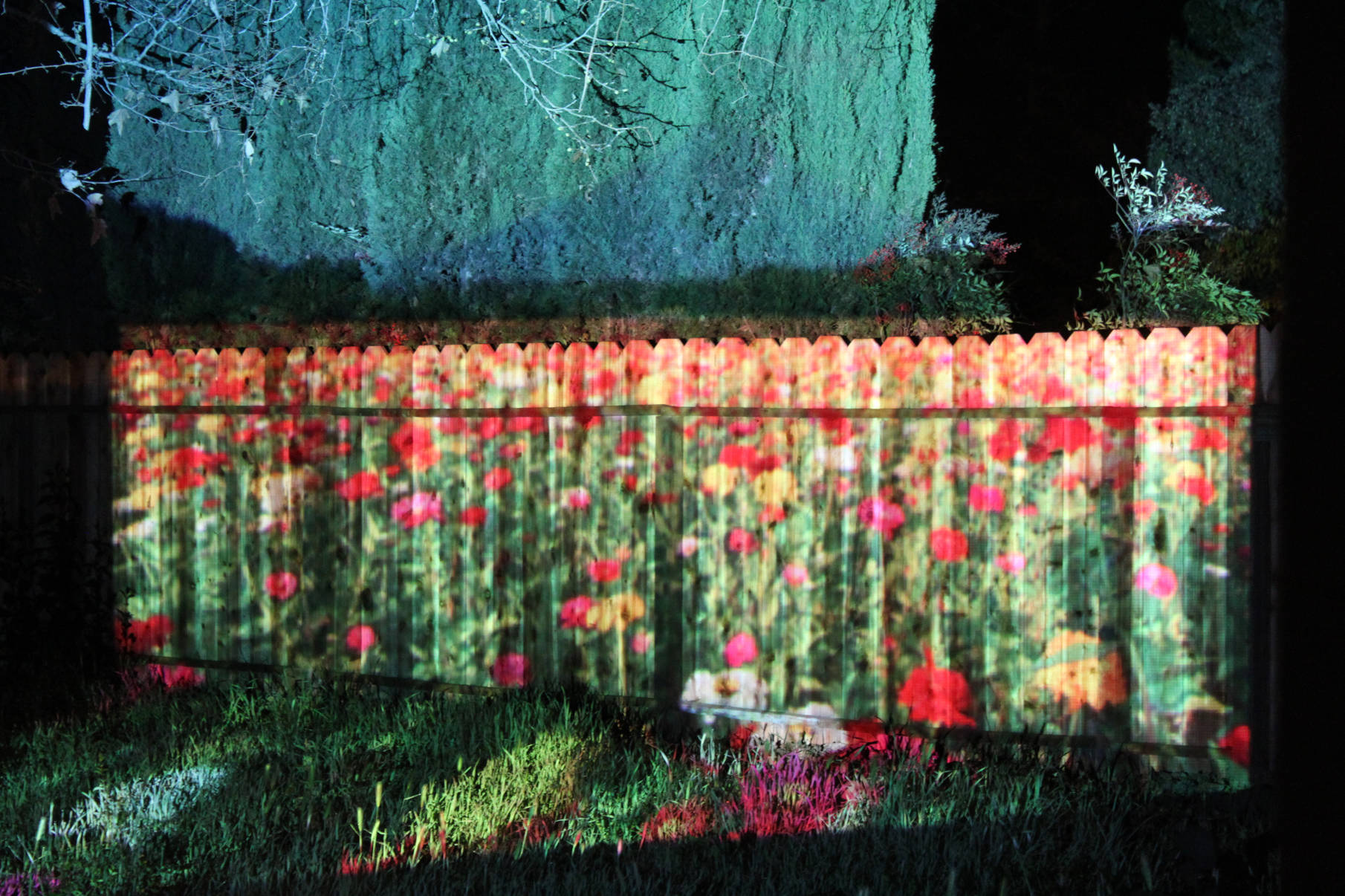 Home Projection Project - Nina Diaz