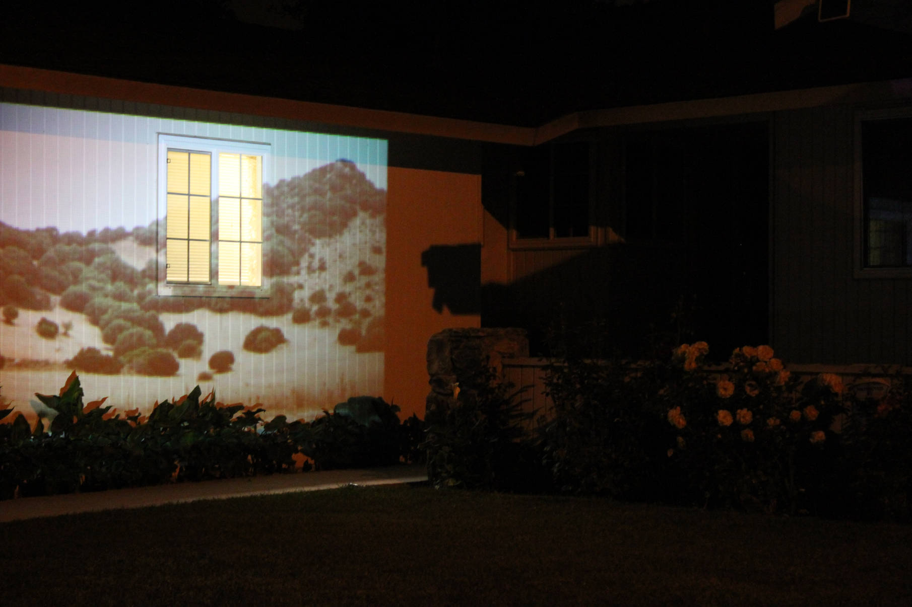 Home Projection Project - Nina Diaz