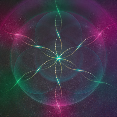 DNA Flower of Life - Nice Incredible