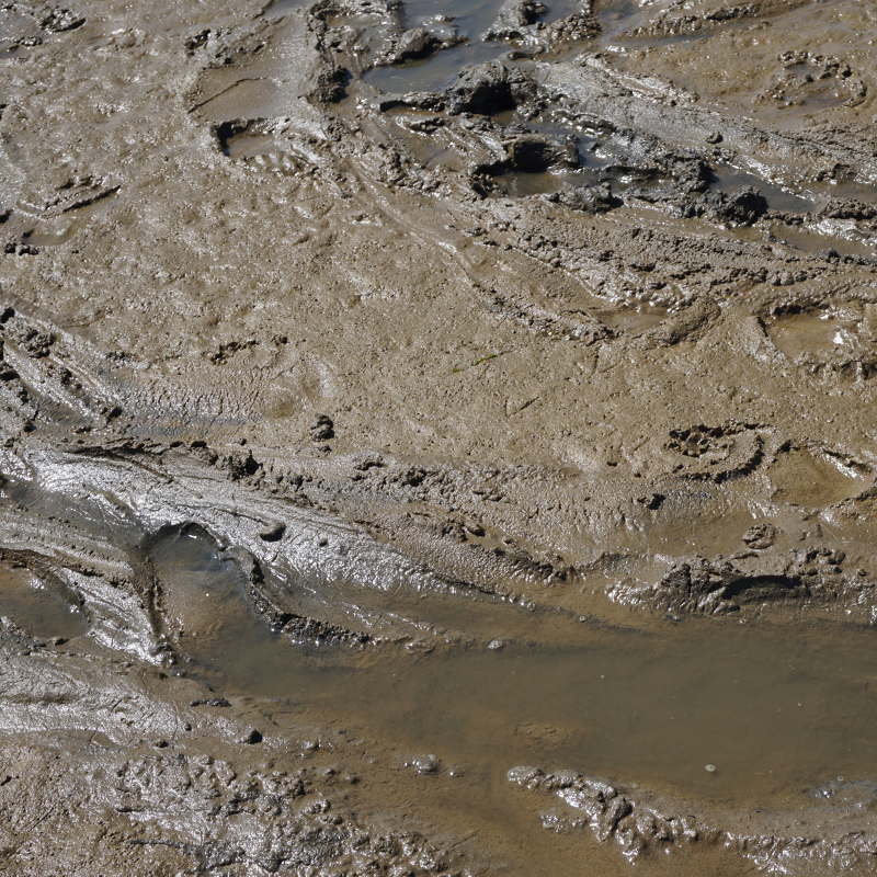 Collaboration - Sorcha Boyle