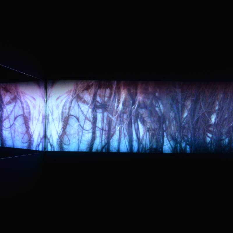 Installation - Sorcha Boyle