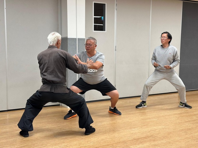 Hung Gar Stances - the taijiquan experience