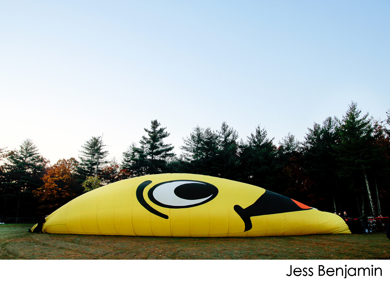 Spring 2017 - The Curated Fridge