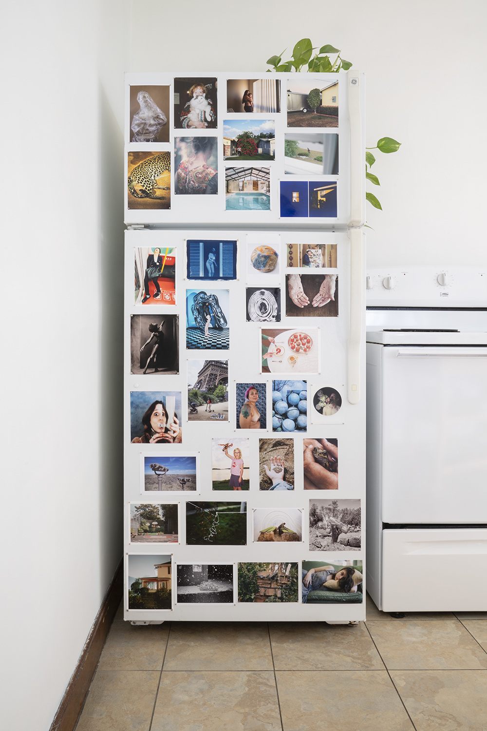 Summer 2019 - The Curated Fridge