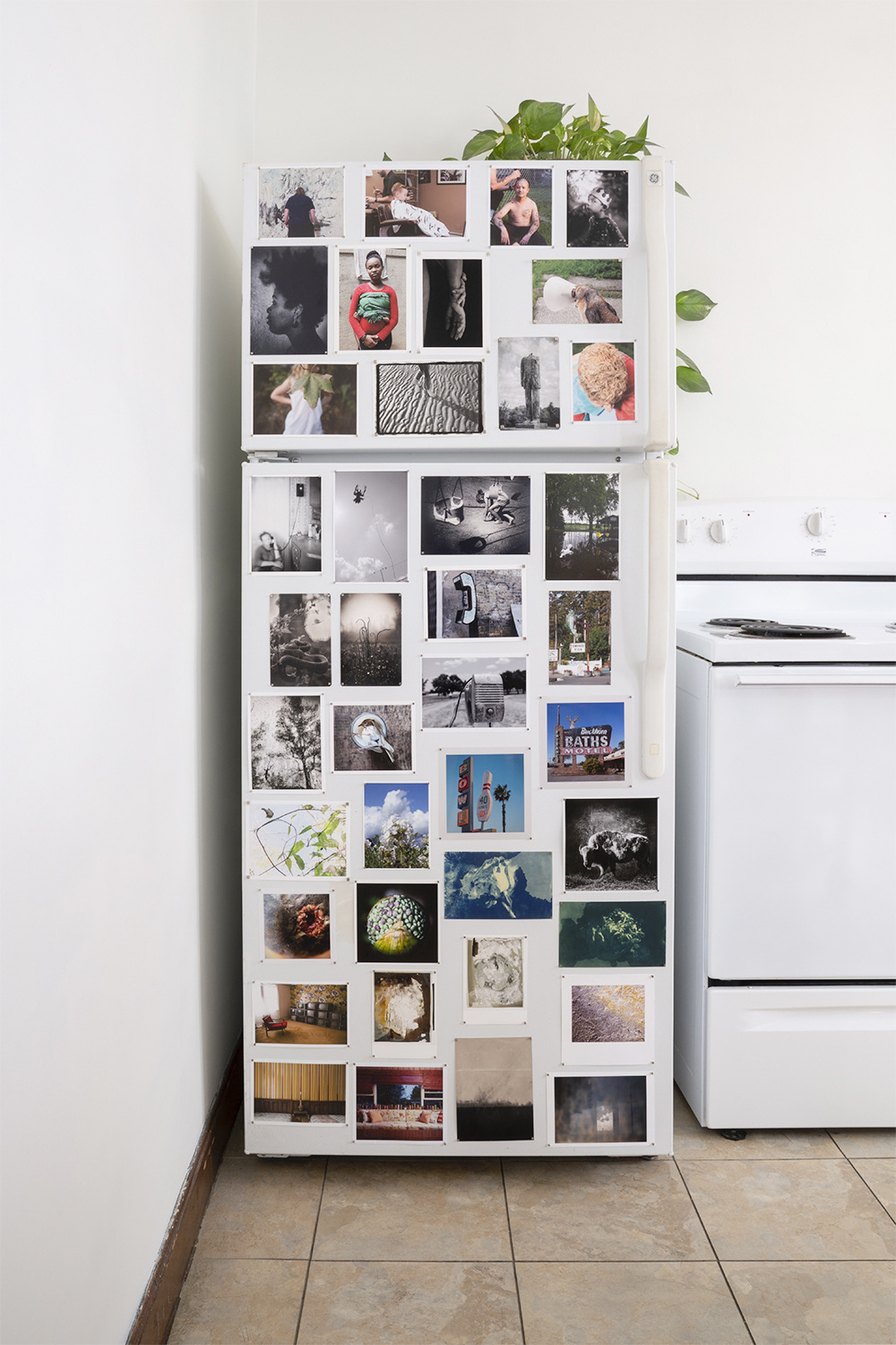 Autumn 2019 - The Curated Fridge