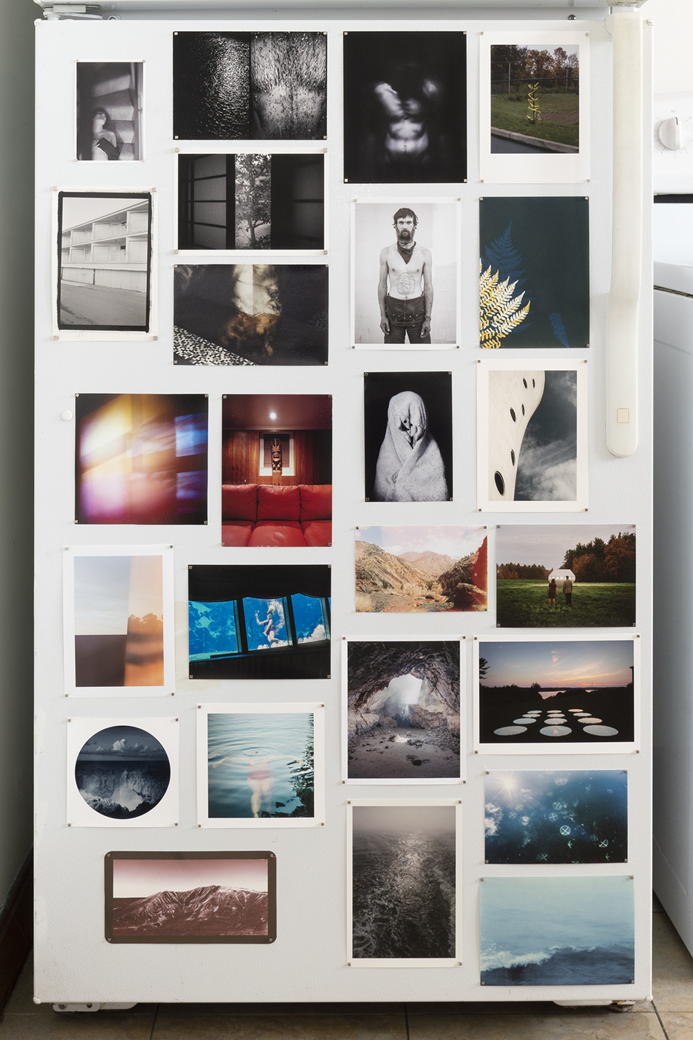 "The Ones That Got Away" - The Curated Fridge