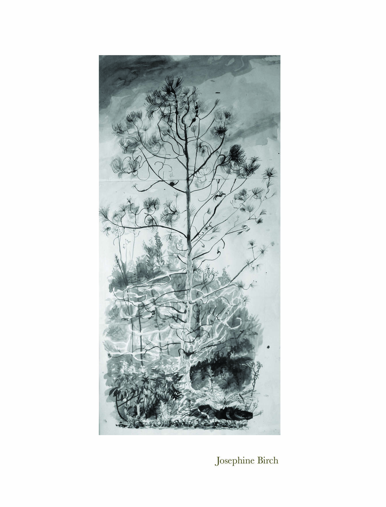 Location Drawing - Josephine Birch Illustration