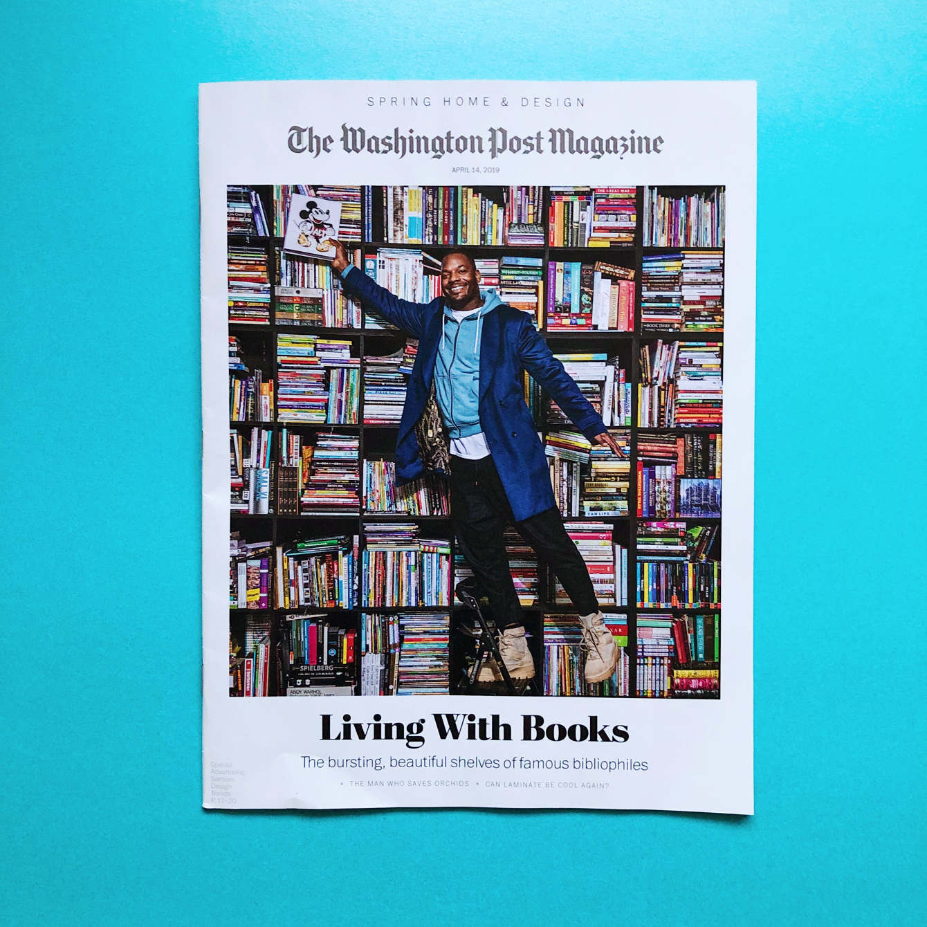 Julia Child - The Washington Post Magazine - Helen Green Illustration