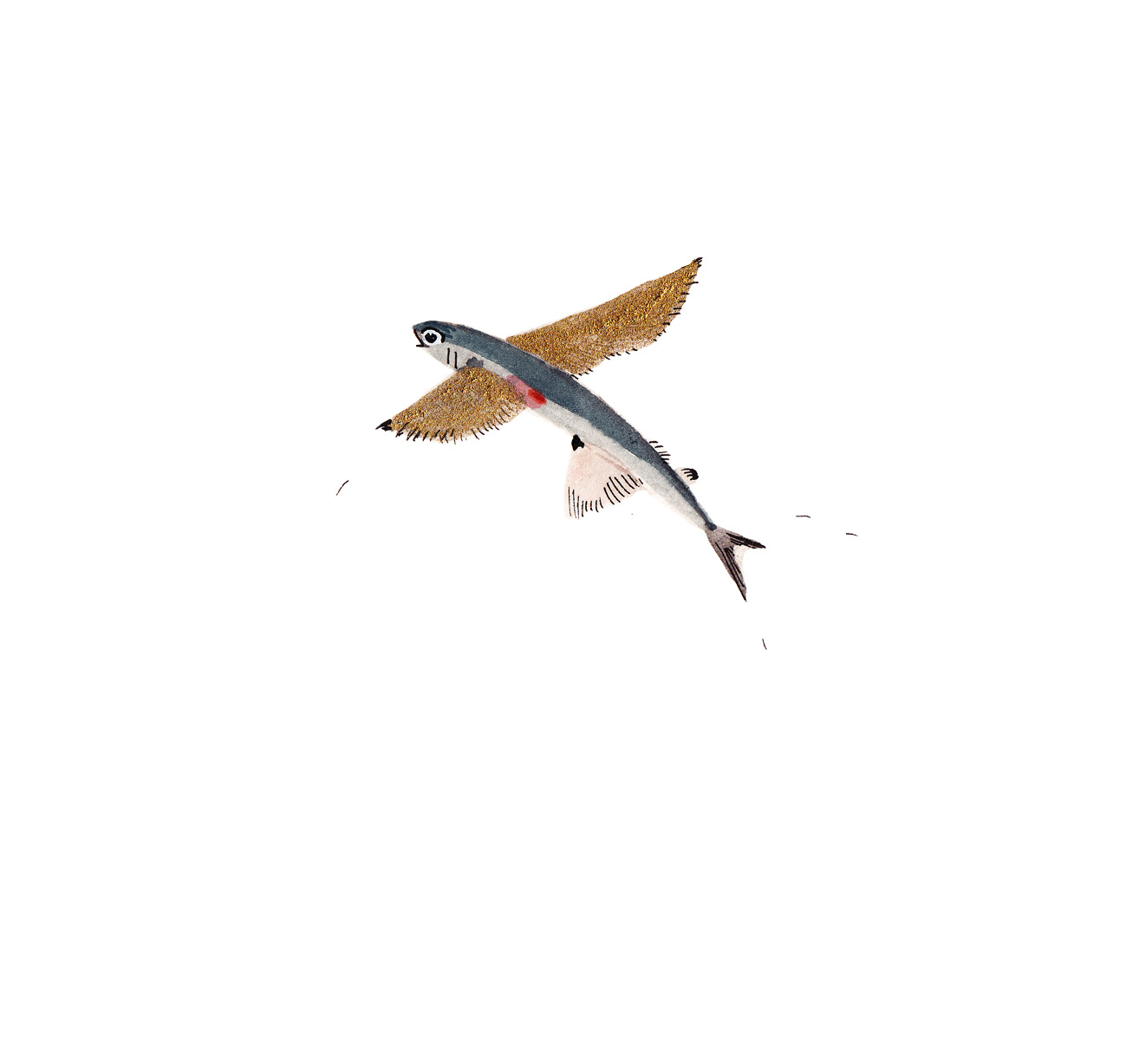 Life of Pi - Dear Rae - Katrin Coetzer