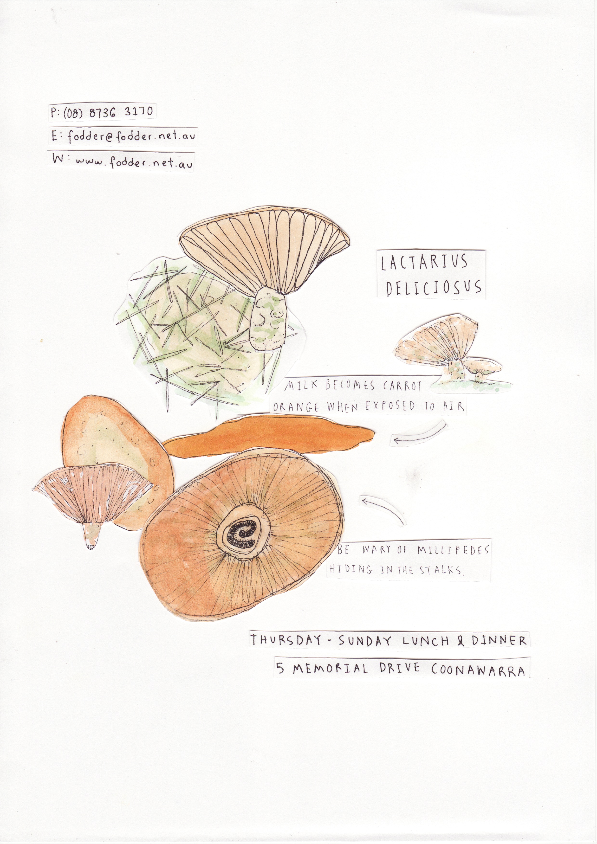 Fodder Restaurant - Matilda Innes