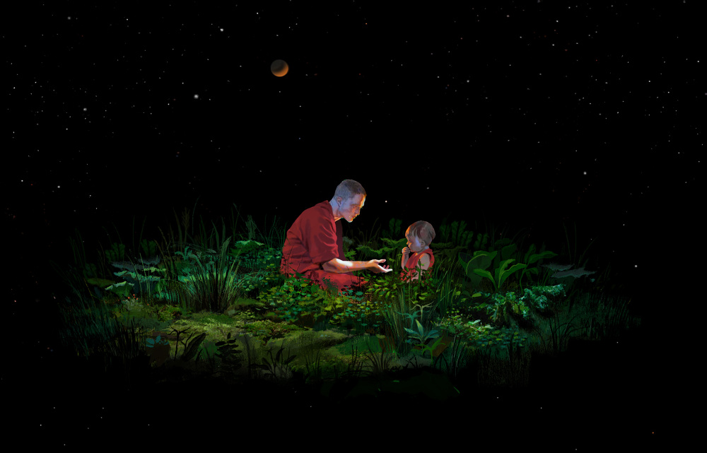 High Life - dadushin