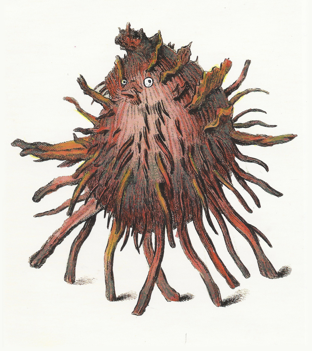 Bestioles - Héloïse Chevrel