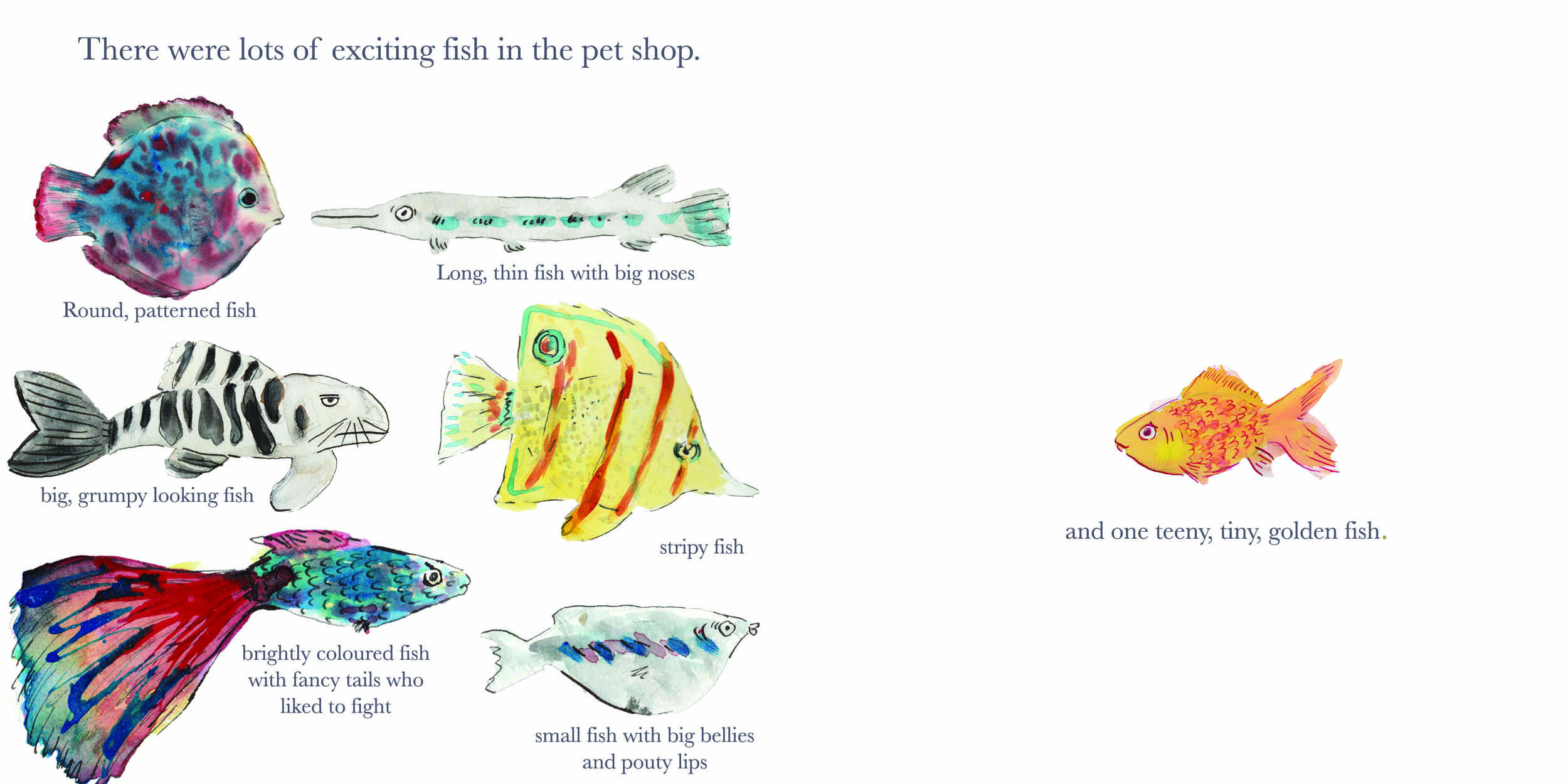 Patty and Catty - jessica kettle illustration