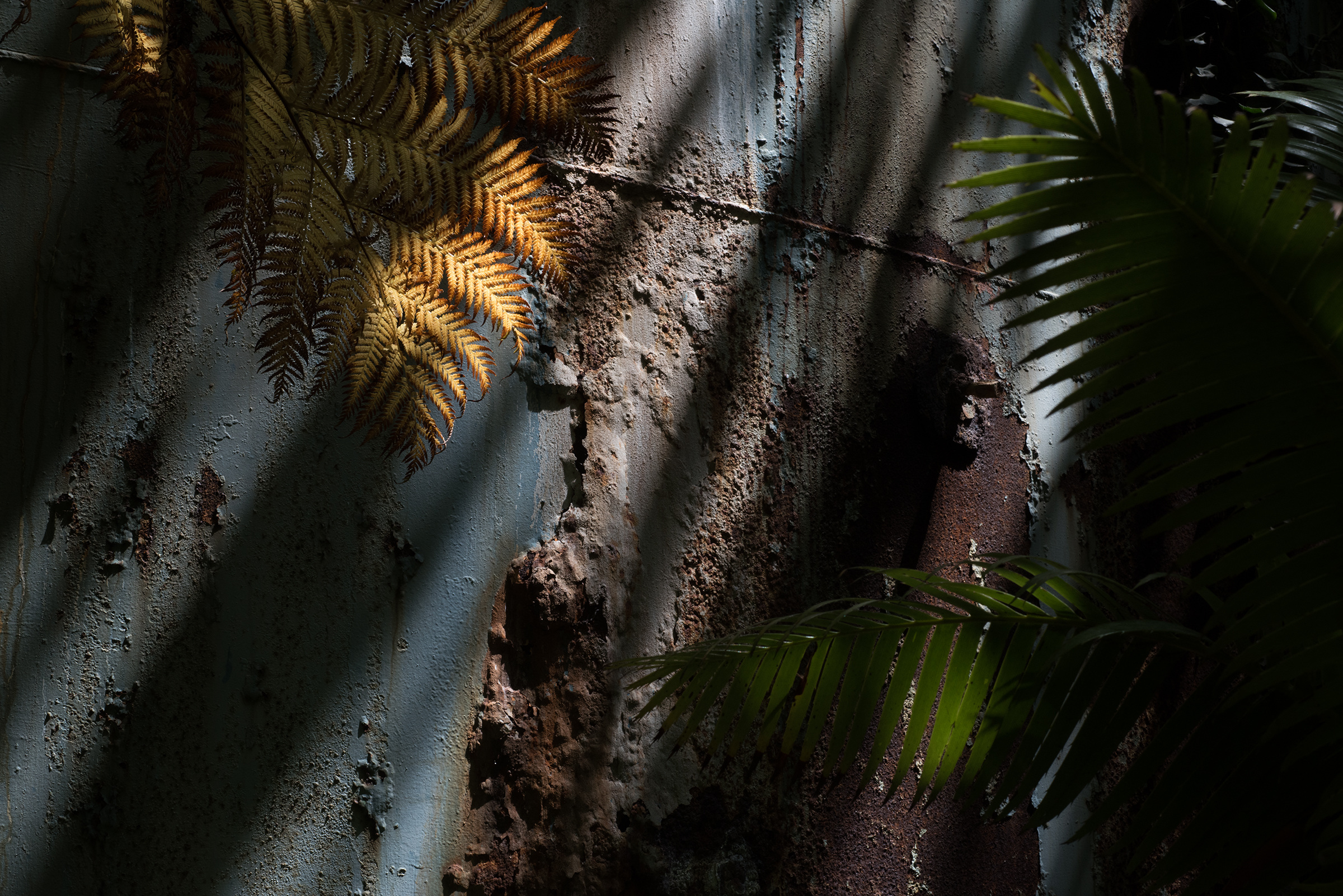 The Drowned World - Michael Wang