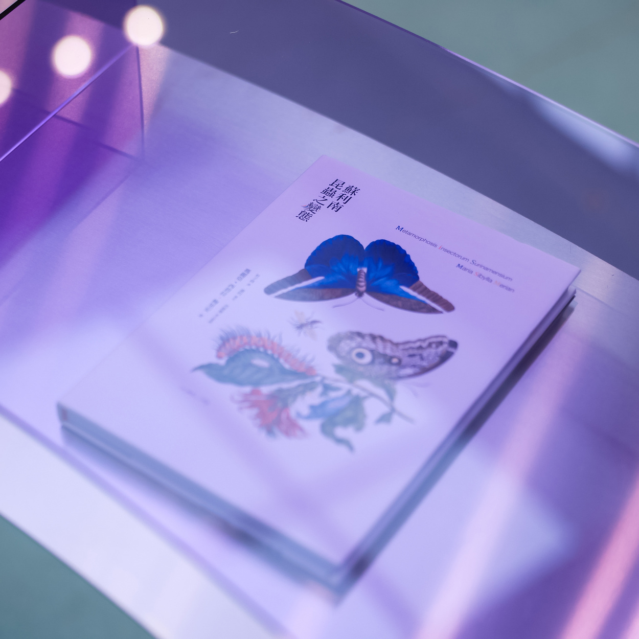 Purple Earth - Michael Wang