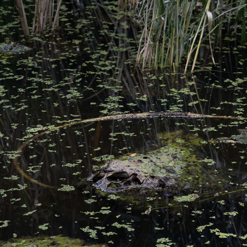 Lake Tai 太湖 - Michael Wang