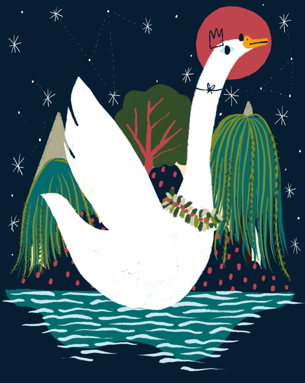swan - Kelly Jackson Illustration