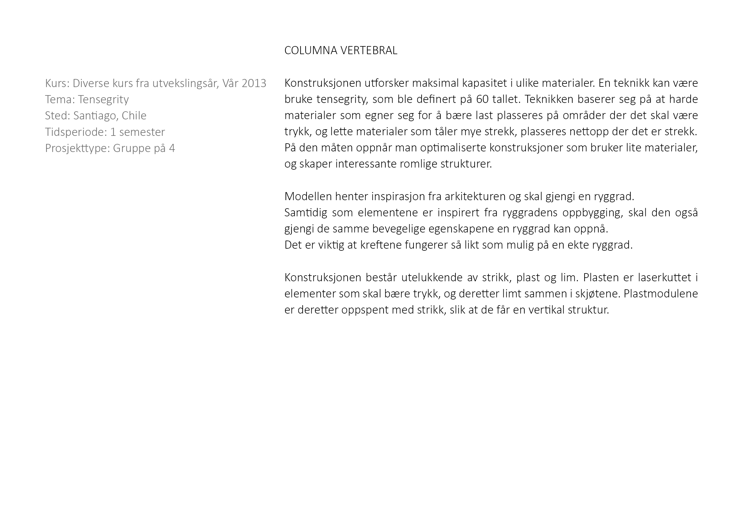 COLUMNA VERTEBRAL - PORTFOLIO