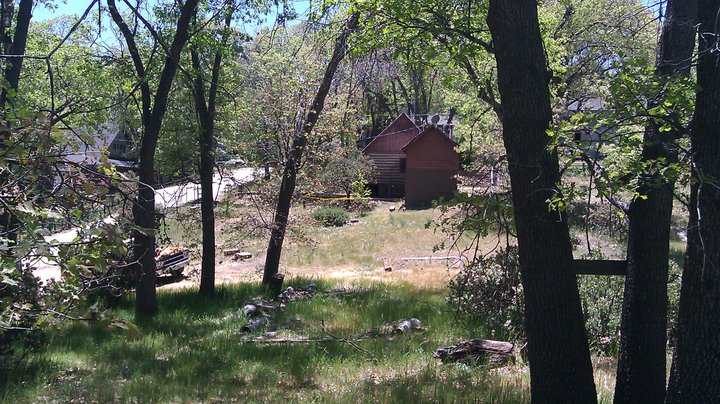 The Cabin - tom grimley construction