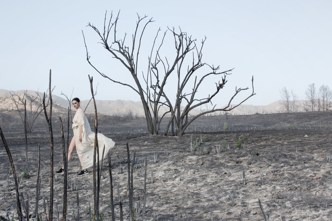 Book IV - Katherine Rodriguez