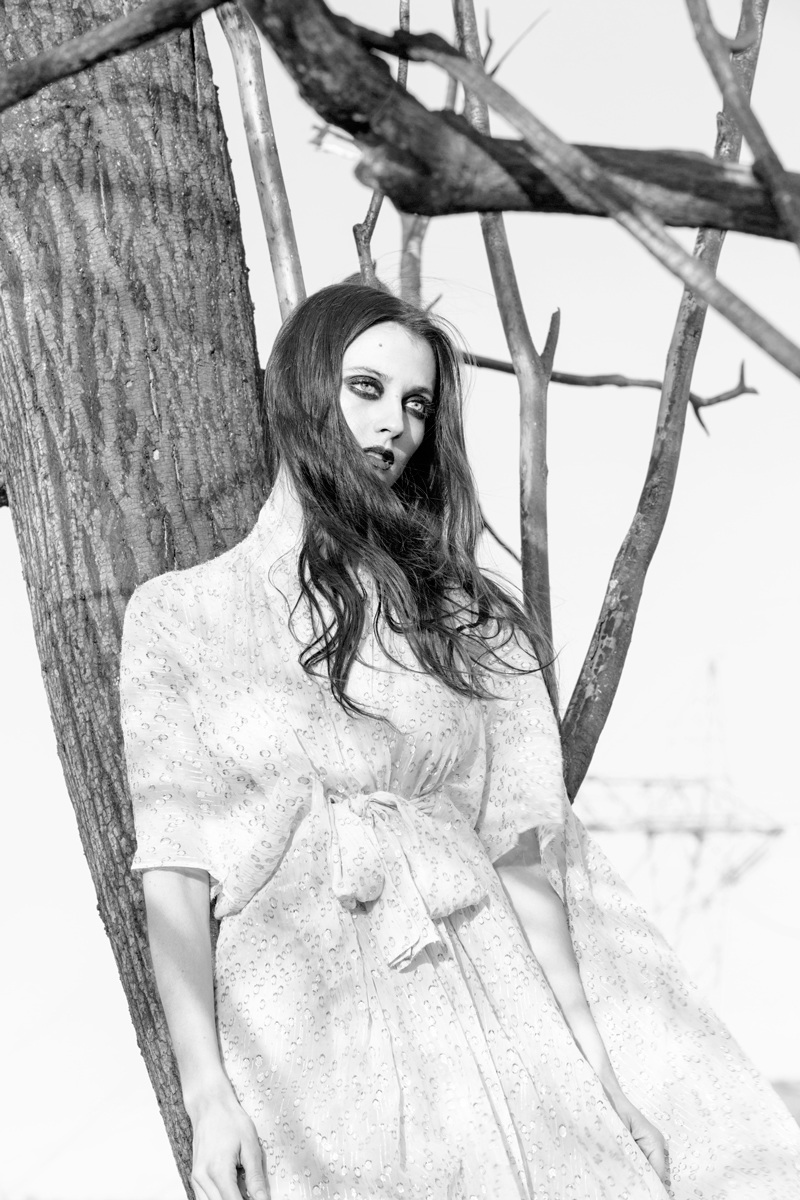 Book IV - Katherine Rodriguez