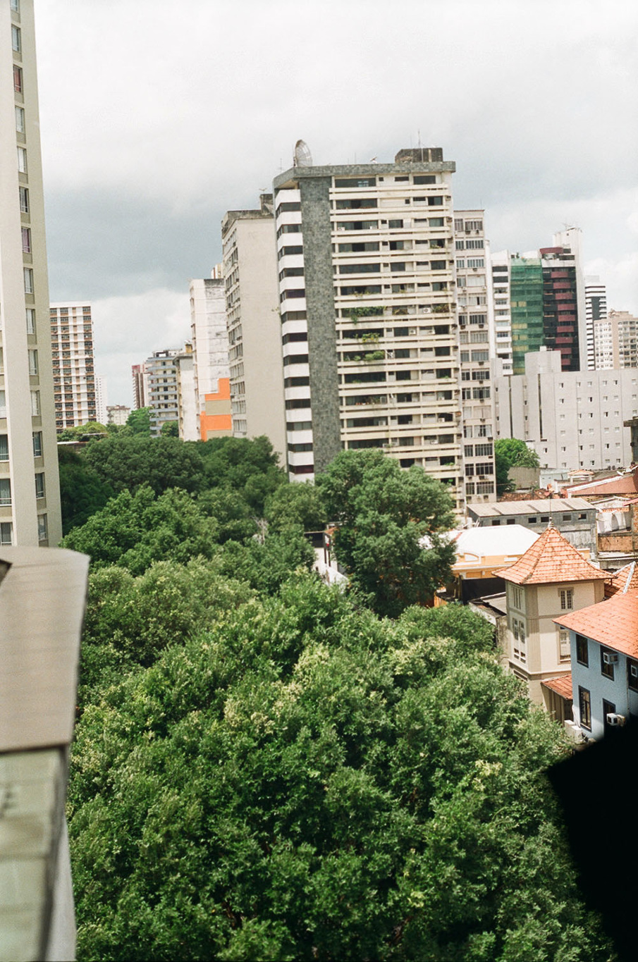 {tereza.m} - meltassia