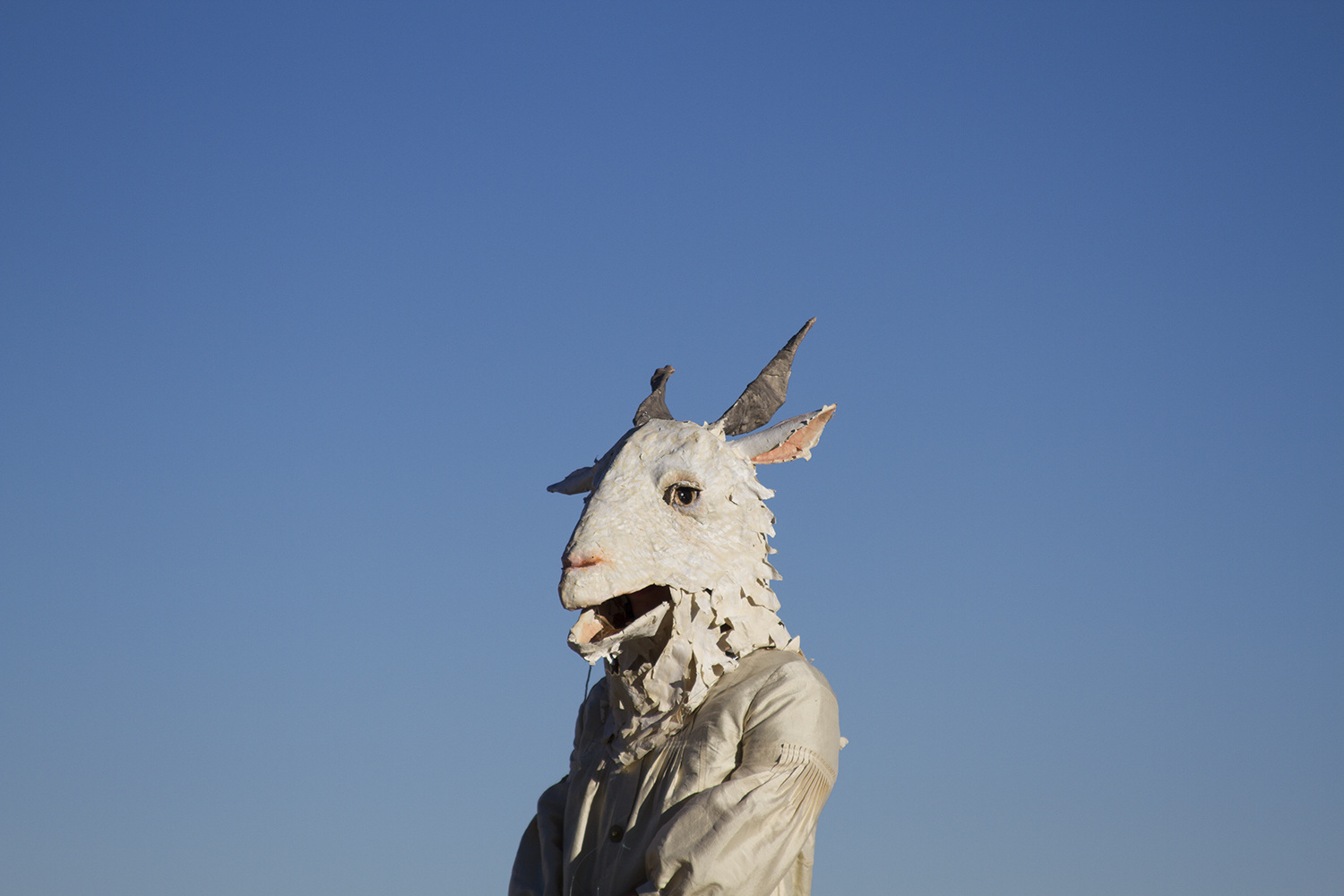 MASKS - Michelle Lassaline